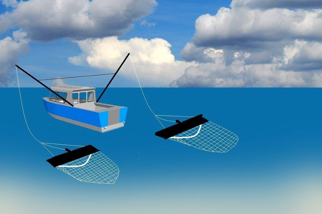 Tecniche di pesca | Principessa Platessa