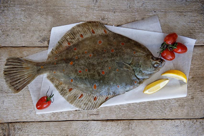 Pesci piatti | Principessa Platessa