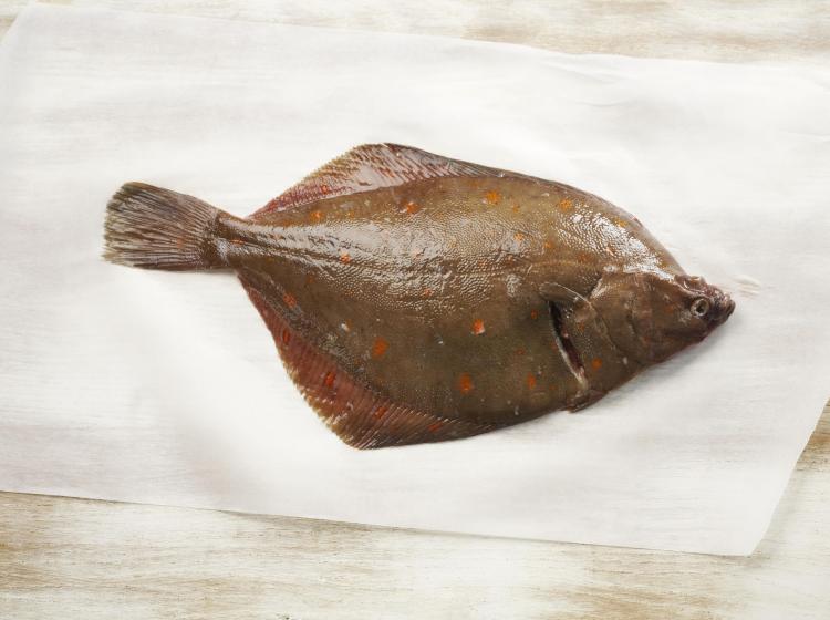 Deliziosa, sana e sostenibile | Principessa Platessa